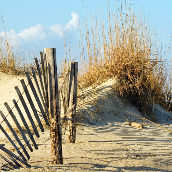 Darryl Brooks - Official Website